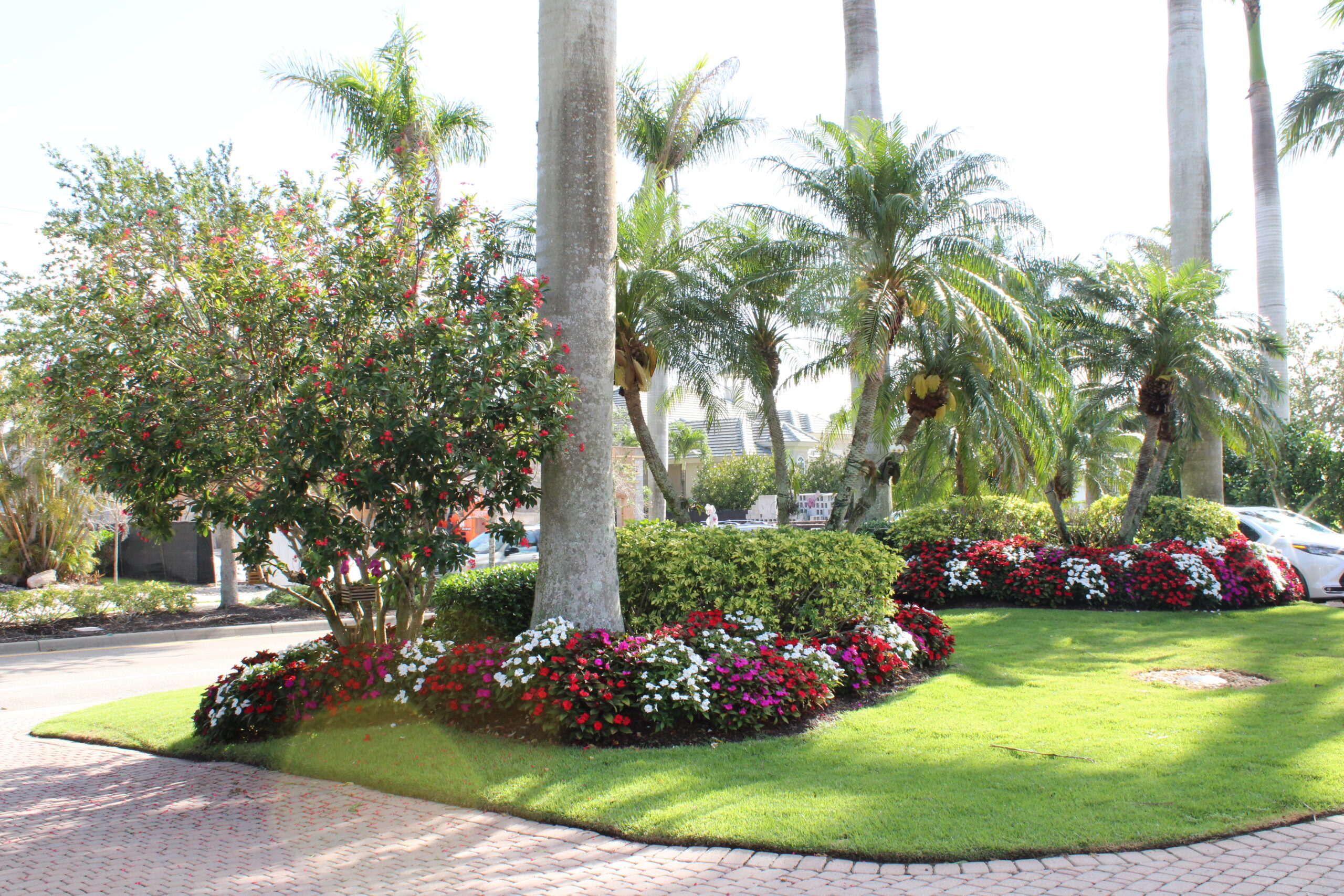 Feel Festive this Fall with New Annuals and Mulch - Earthcare Landscape ...